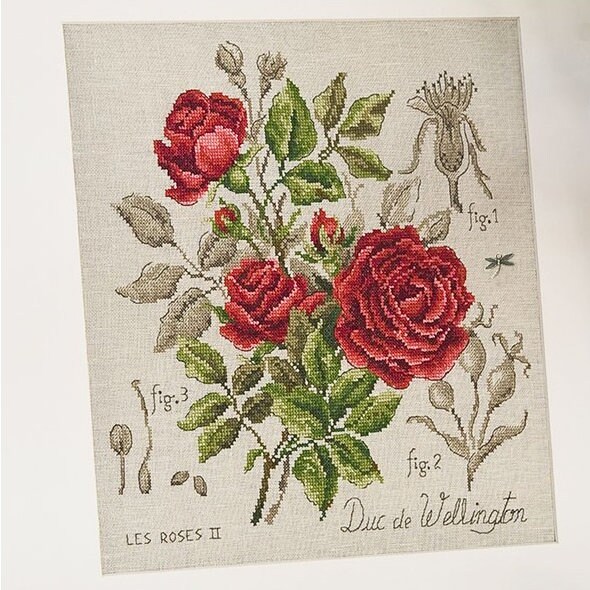 Rose Study duc De Wellington Linen Swatch Charm - Etsy