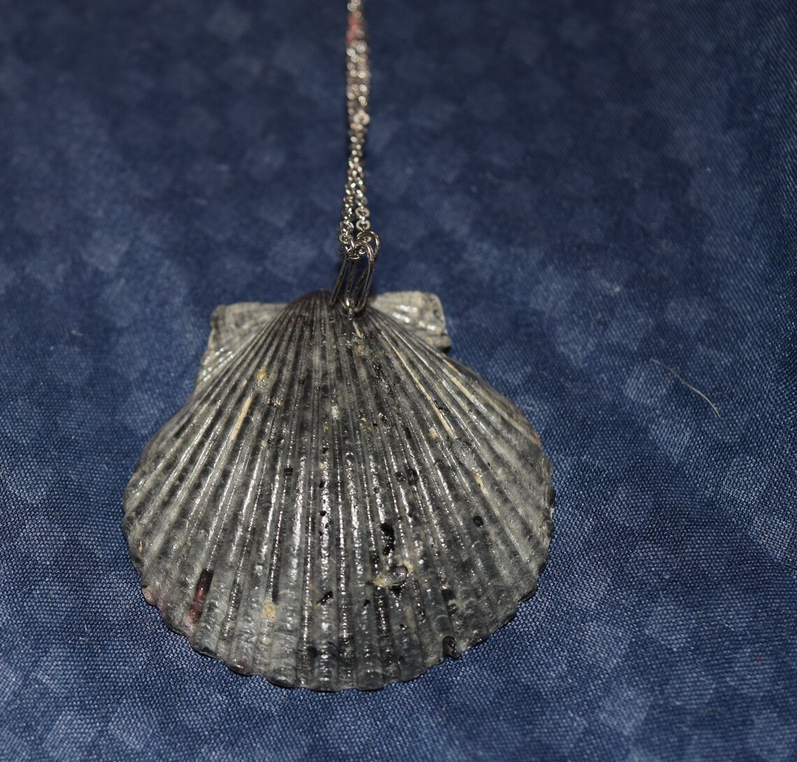 Black Scallop Shell Necklace 24 - Etsy New Zealand