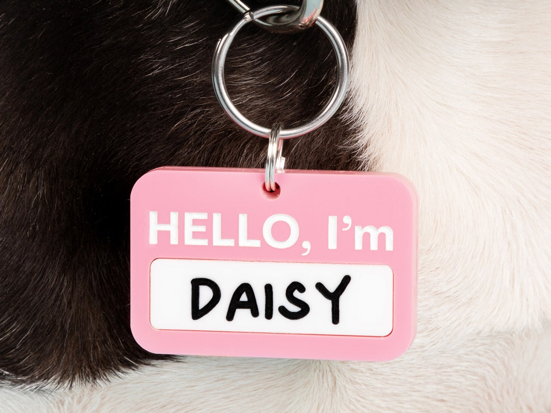 Custom Pet Tag for Dogs and Cats | Personalized Hello I'm Pet Tag ...