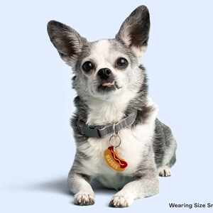 Custom Pet Tag for Dogs and Cats | Personalized Weiner Hot Dog Tag ...