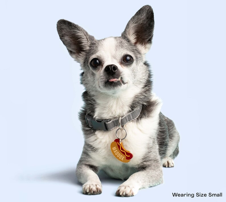 Custom Pet Tag for Dogs and Cats | Personalized Weiner Hot Dog Tag ...
