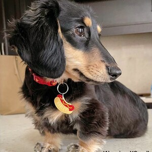 Custom Pet Tag for Dogs and Cats | Personalized Weiner Hot Dog Tag ...