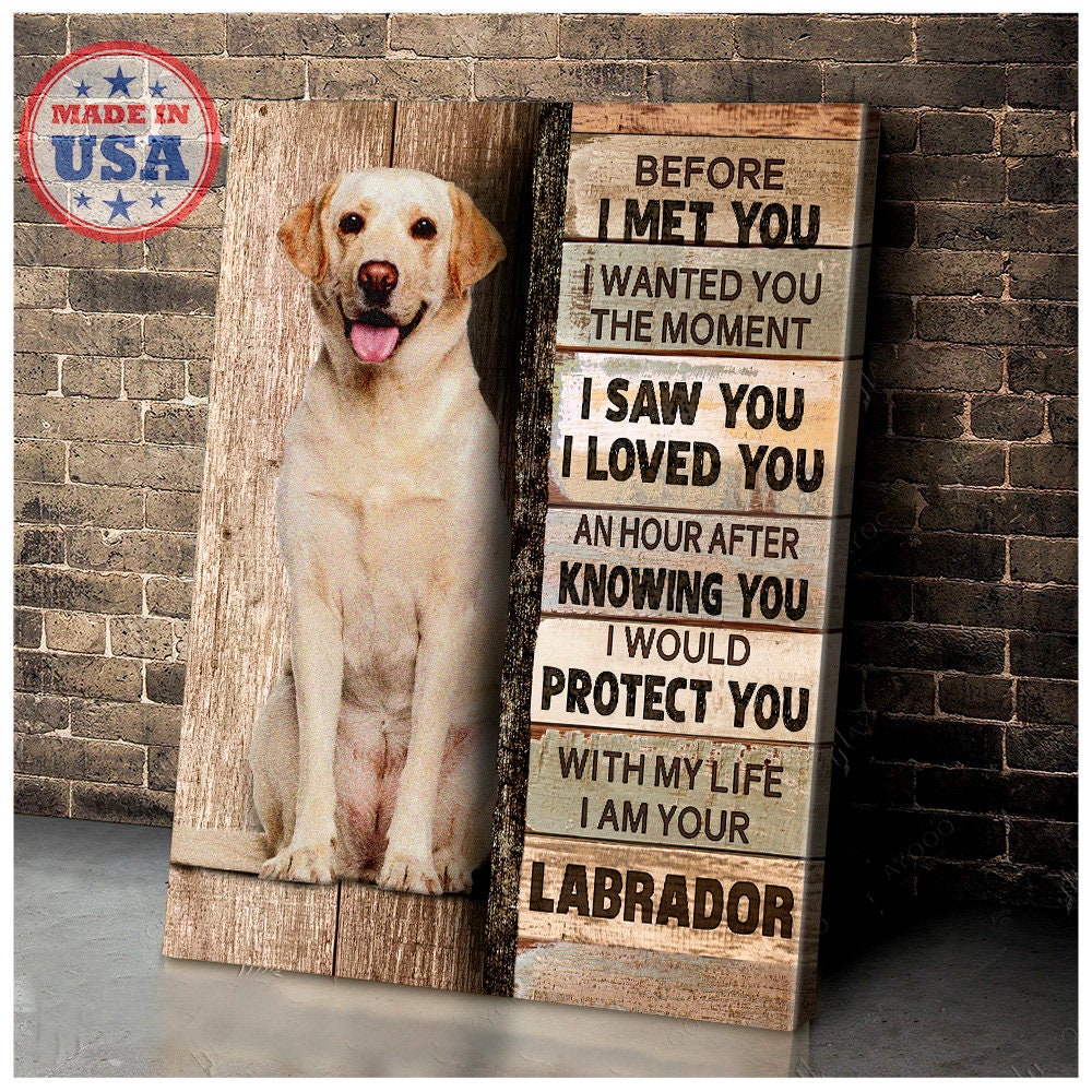 Can Labrador Protect You