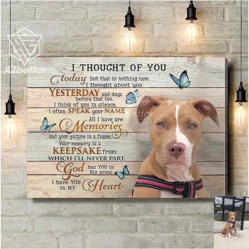 Pet Sympathy Gift - 60+ Gift Ideas for 2024