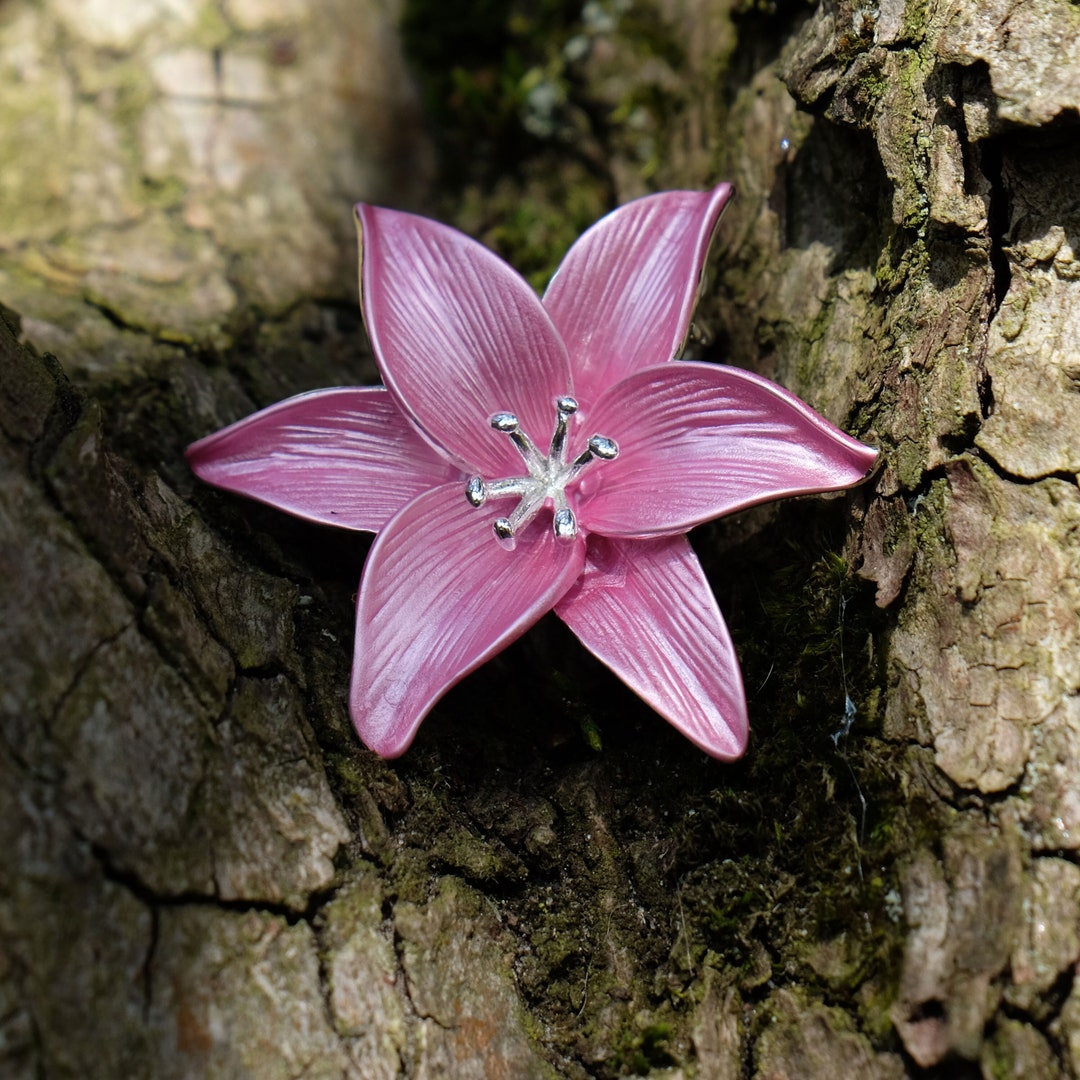 Lily Pink Star Gazer Flower Brooch, Silver Plated - Etsy
