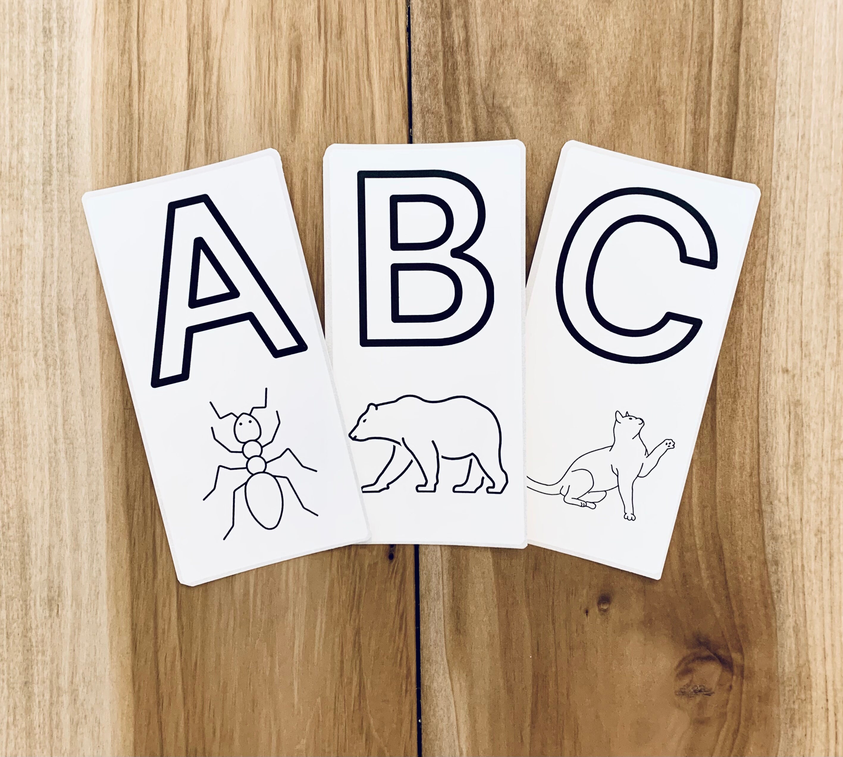 Alphabet Flash Cards + Charity Donation - Etsy