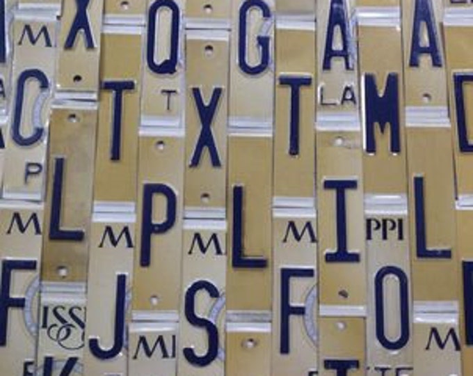 Pick Your Letters & Numbers Raised/embossed License Plate Letters and ...