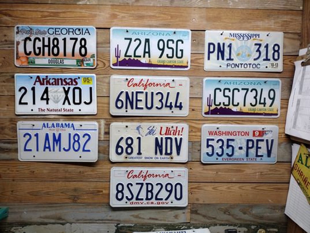 A Lot of 10 Mixed Variety of Craft License Plates CGH8178 - Etsy