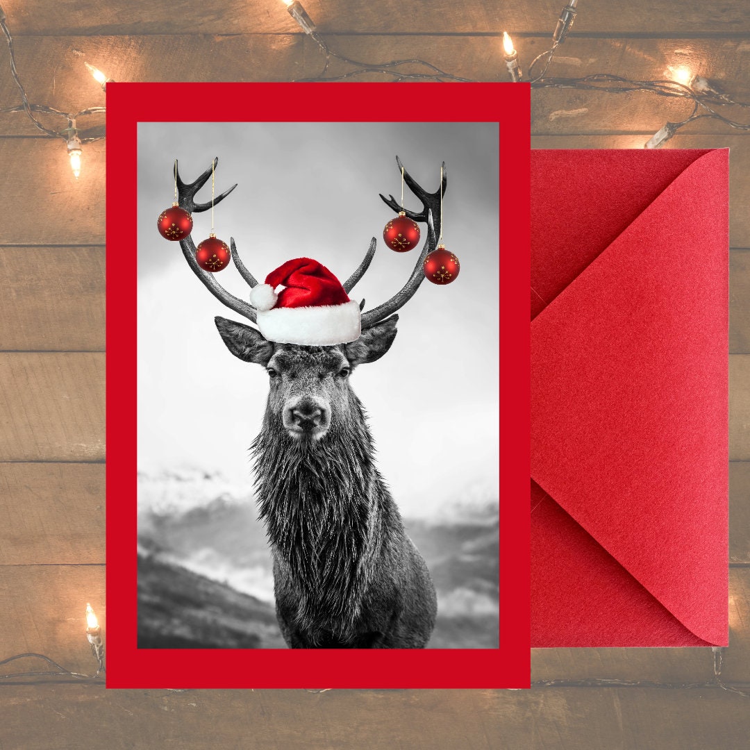 Stag Christmas Card Funny Scottish 105 X 150 Mm Portrait With Crimson ...