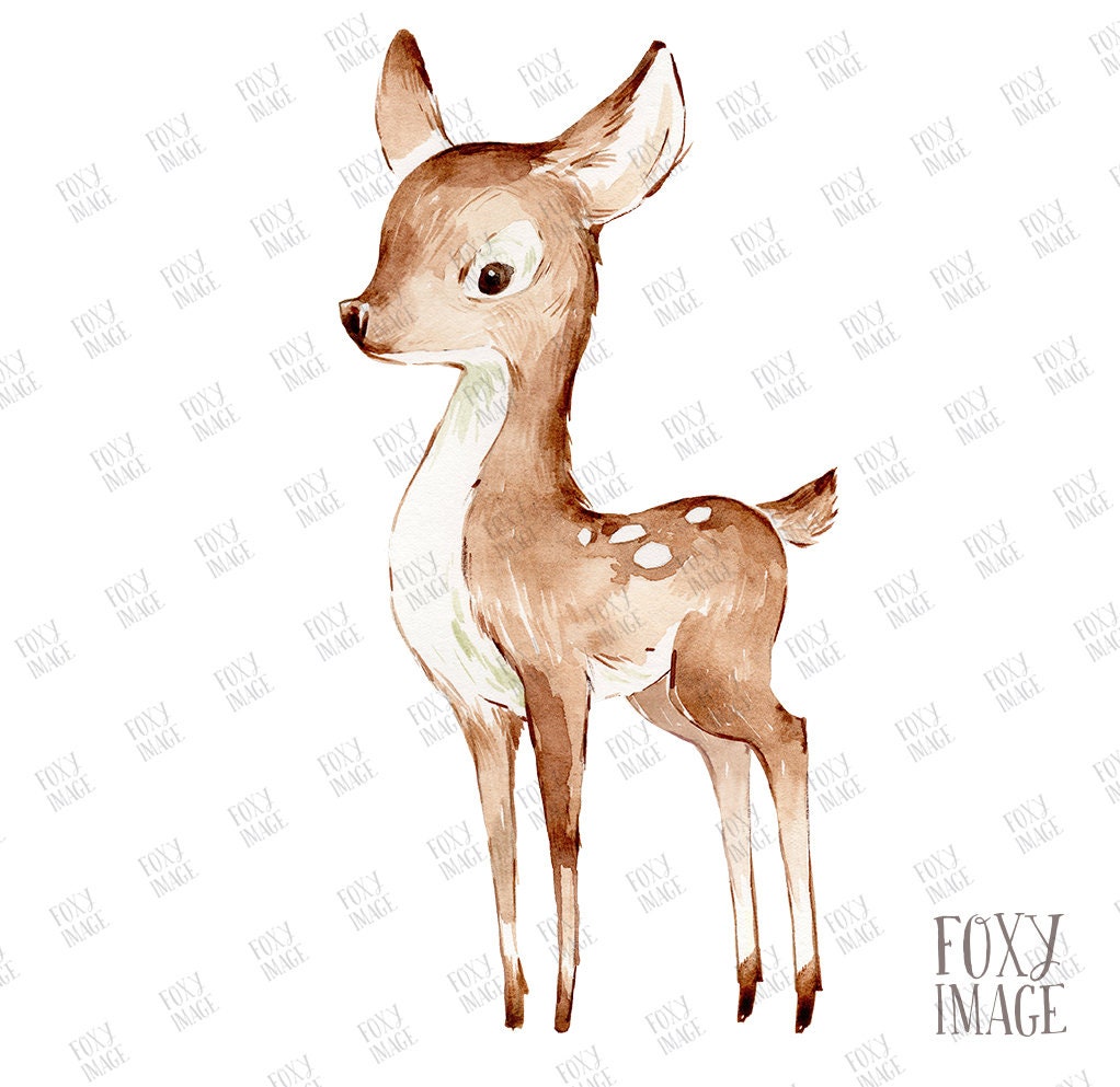 Watercolour PNG Baby Deer, Cute Little Fawn, Baby Deer, Little Baby ...