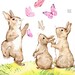 Watercolor Bunny, Baby Bunny PNG Clipart, Little Rabbit, Watercolor ...