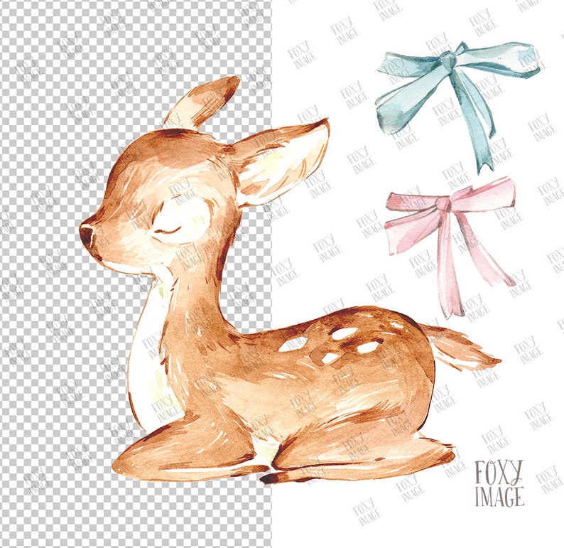 Watercolour PNG Baby Fawn Cute Little Fawn Sleeping Baby - Etsy