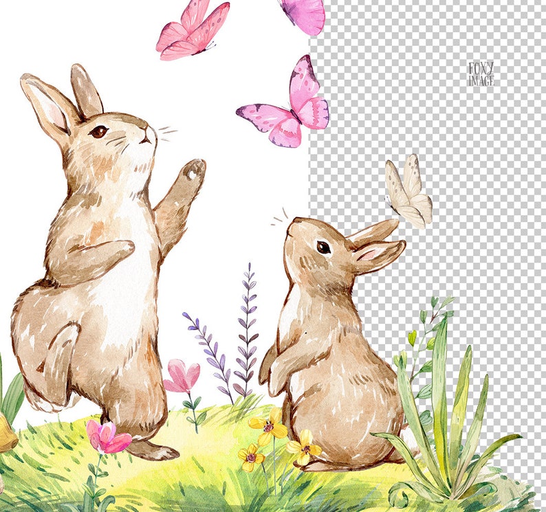 Watercolor Bunny, Baby Bunny PNG Clipart, Little Rabbit, Watercolor ...