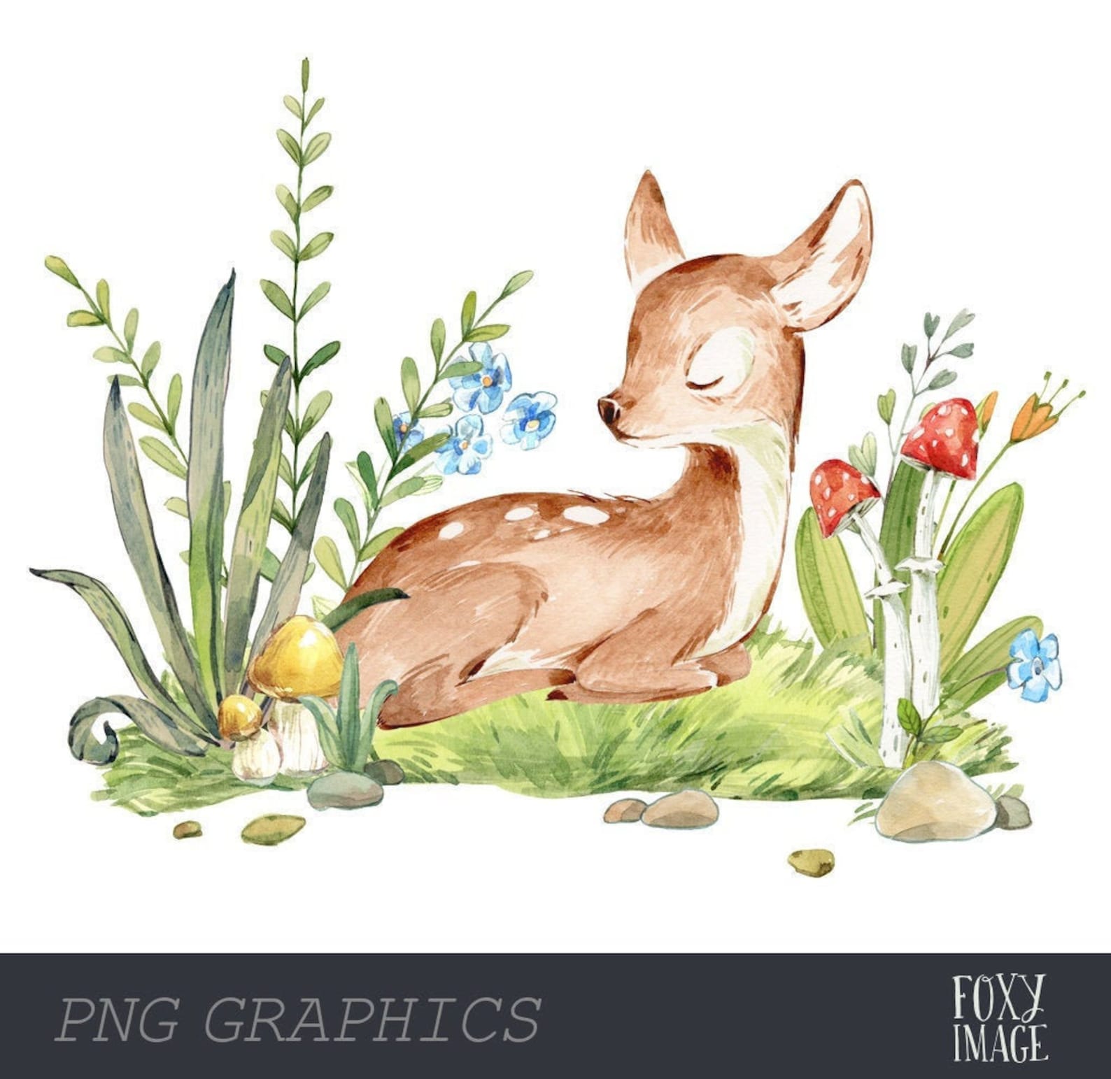 Baby Reh, Aquarell Rehkitz, Reh PNG, schlafendes Baby Reh, kleines Reh ...