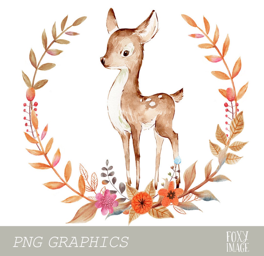 Baby Fawn Clipart Watercolor Deer PNG Clipart Girl Deer - Etsy
