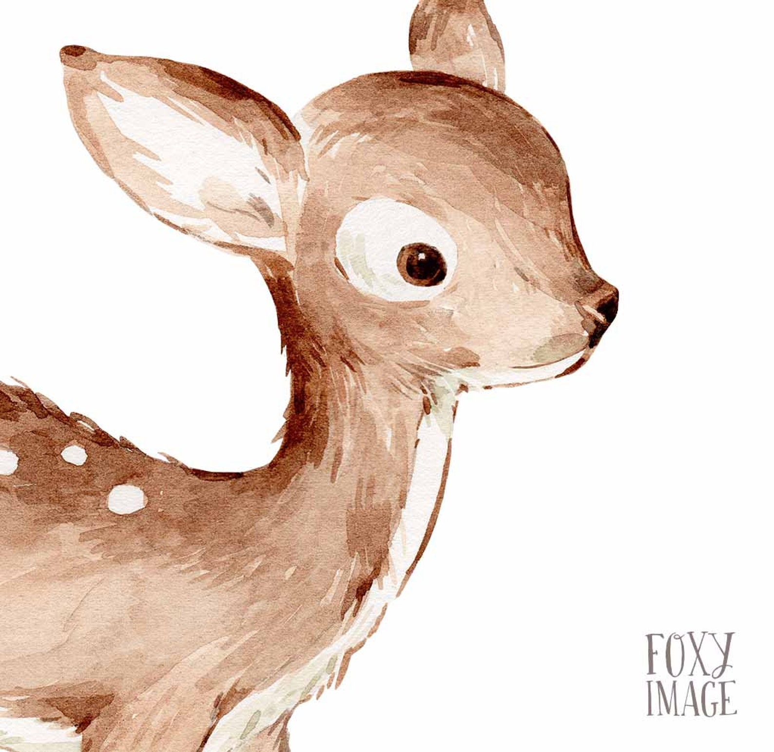 Aquarell PNG Baby Reh, Süßes Reh, Baby Reh, Kleines Reh, Print Art ...