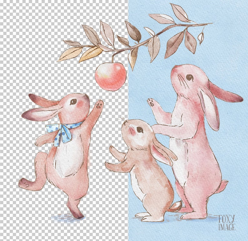 Watercolor Bunny Baby Bunny PNG Clipart Little Rabbit | Etsy