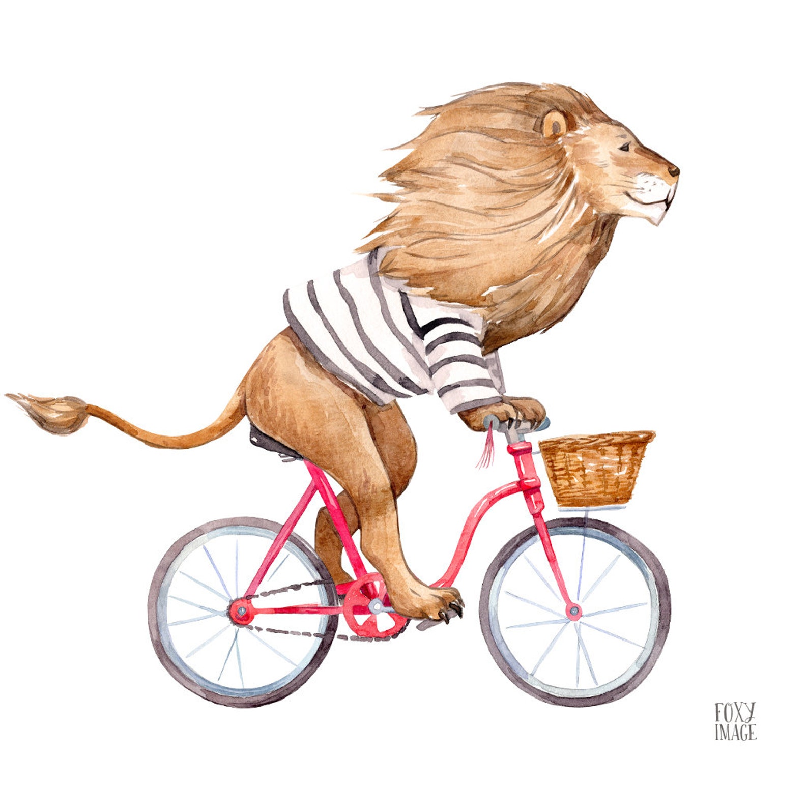 Watercolor Lion PNG Lion Rides Bicycle Lion Png Lion - Etsy