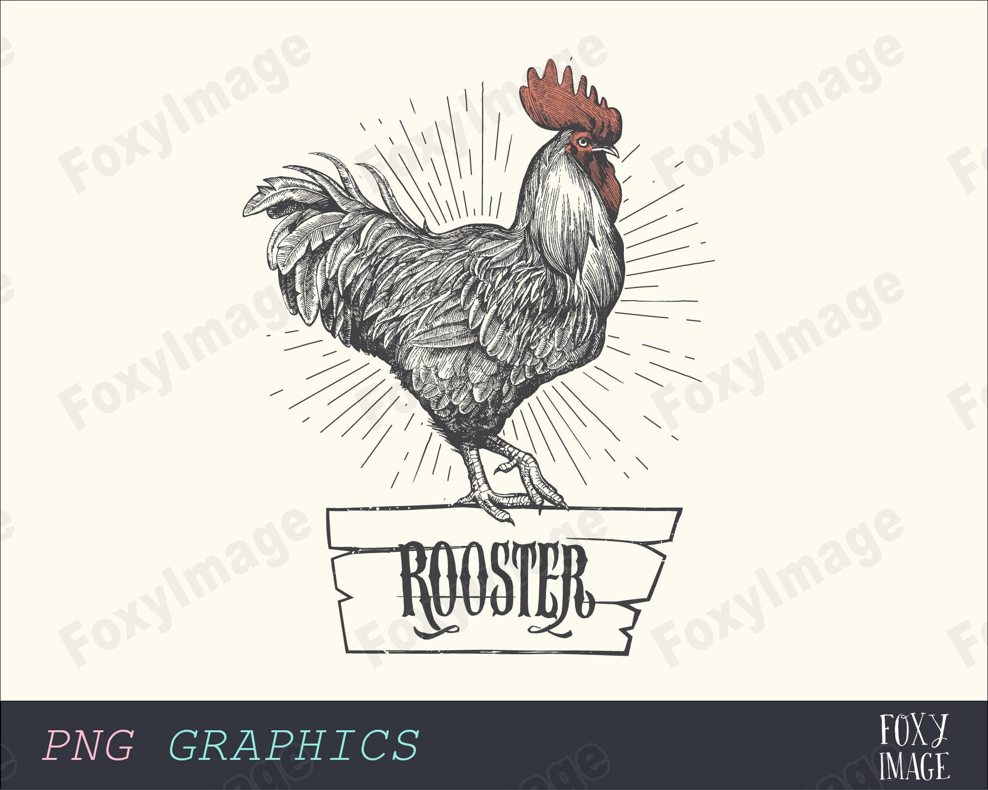 Hahn DIGITAL DOWNLOAD, Hahn Clip Art, Hahn Illustration, Hahn PNG ...