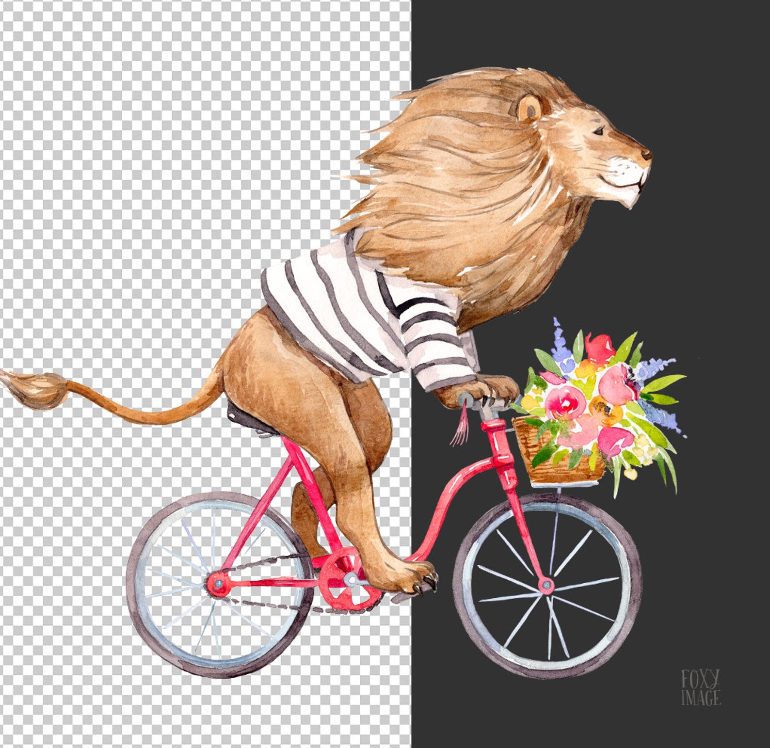 Watercolor Lion PNG Lion Rides Bicycle Lion Png Lion - Etsy