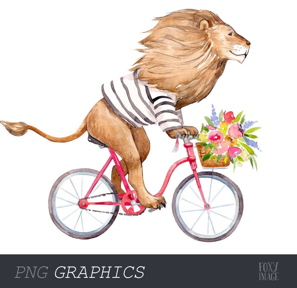Watercolor Lion PNG Lion Rides Bicycle Lion Png Lion - Etsy