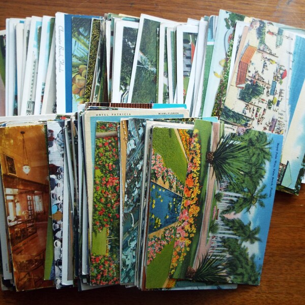 Florida Postcard - Etsy