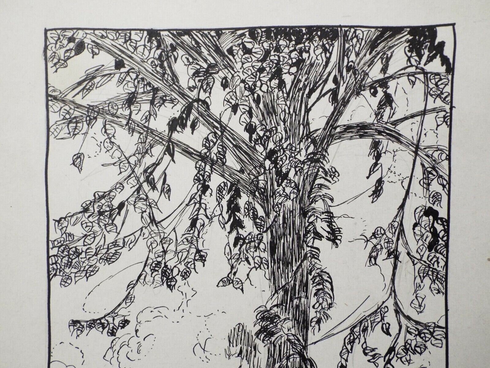 Old young Elm Tree Pen & Ink DRAWING Art Signed Roger L Moore Nature ...
