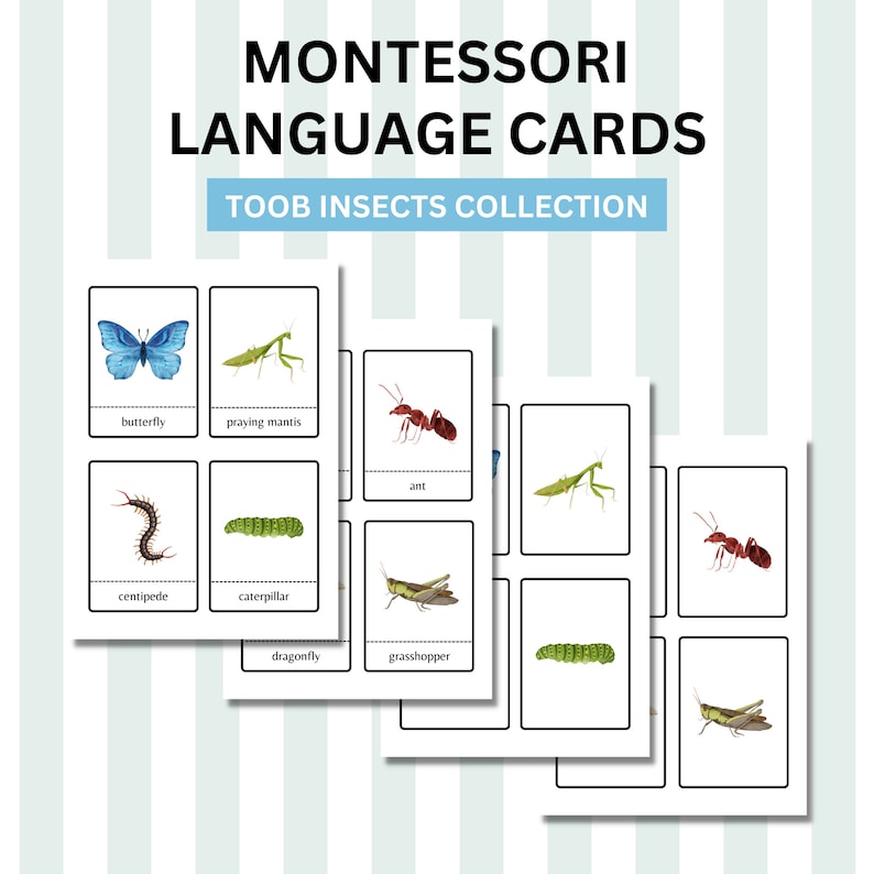 Montessori Language Cards (toob Insects Collection) - Three-period ...