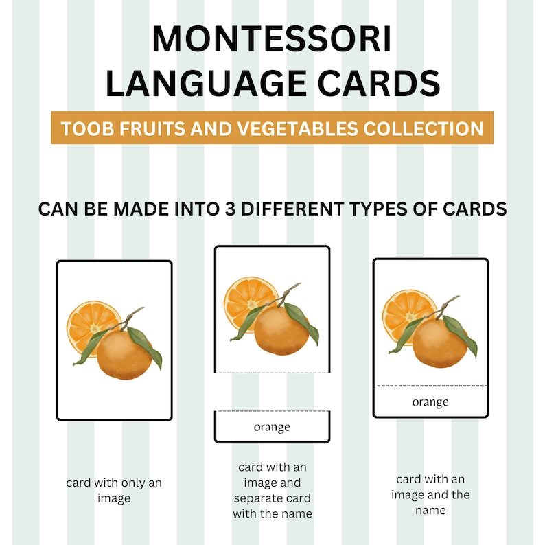 Montessori Language Cards (toob Fruits and Vegetables Collection ...