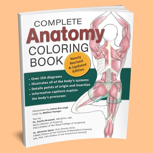 Human Anatomy Coloring Pages - Etsy