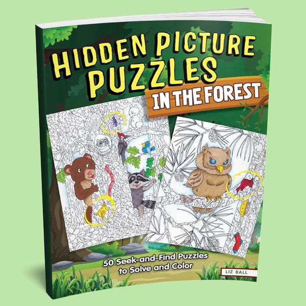 Adult Hidden Picture - Etsy