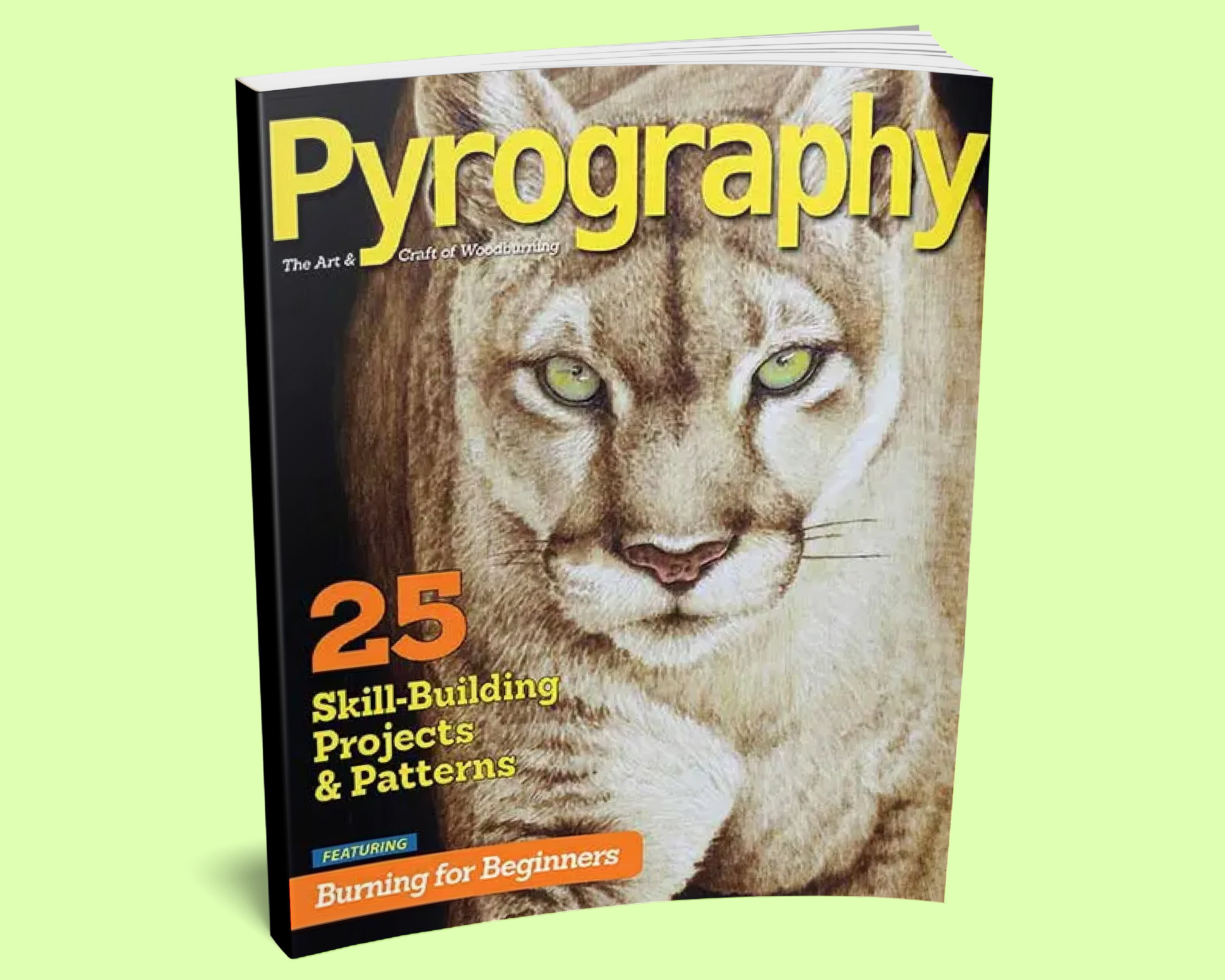 Book: Pyrography Special Edition Book Pyrography Patterns - Etsy Australia