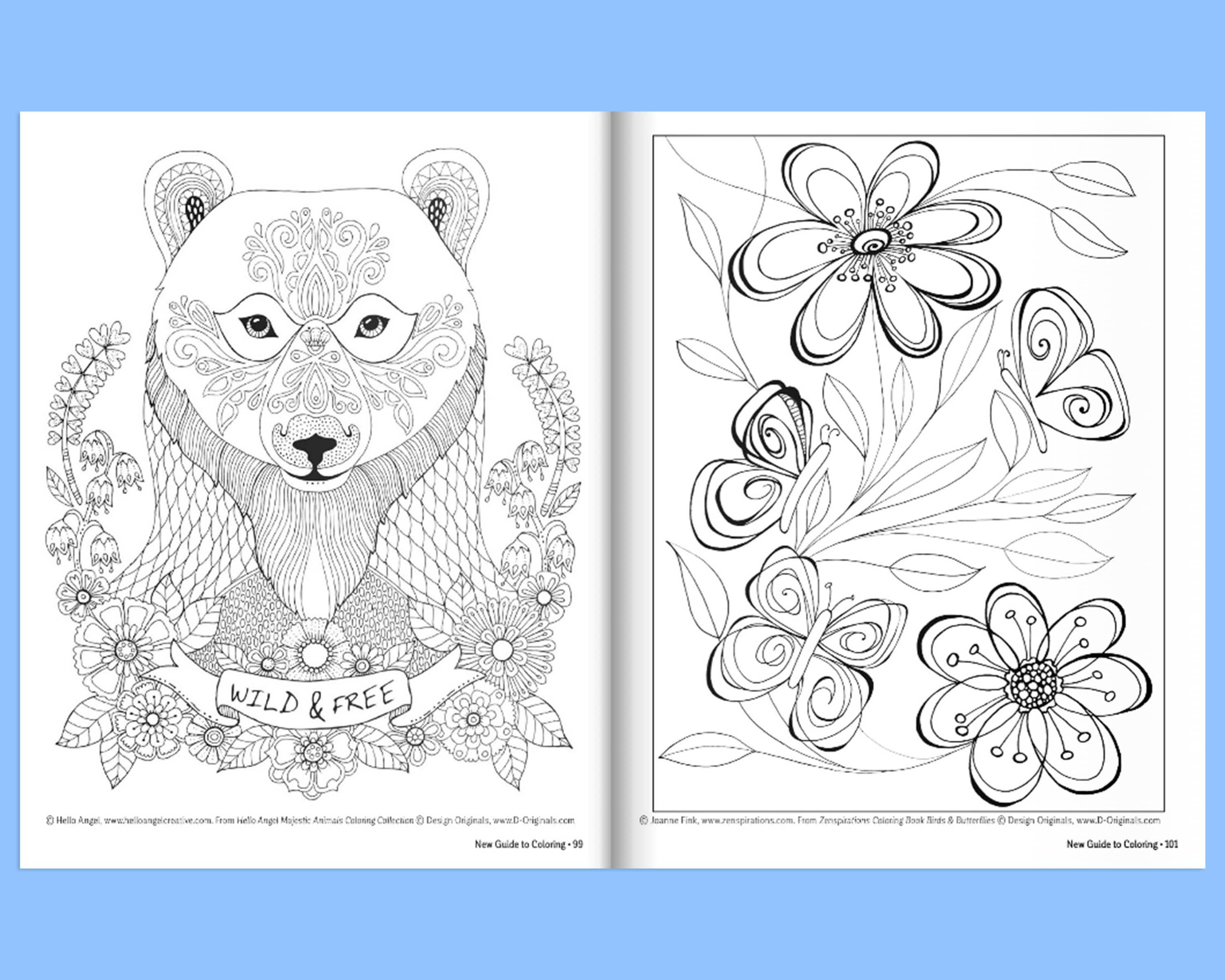Coloring With Guide Buffalo New York Coloring Book Digital Download