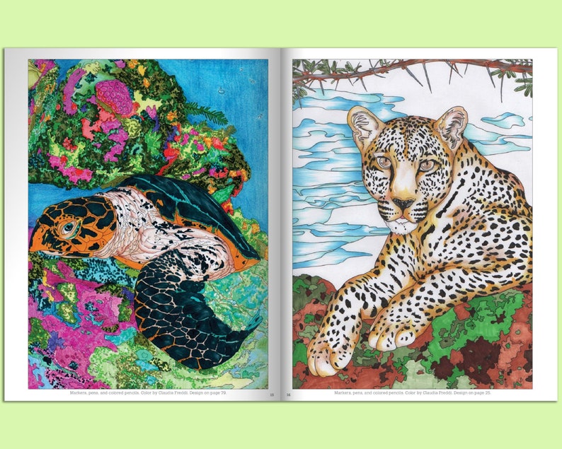 Coloring Book: Hidden Animals Coloring Book Seek and Find - Etsy