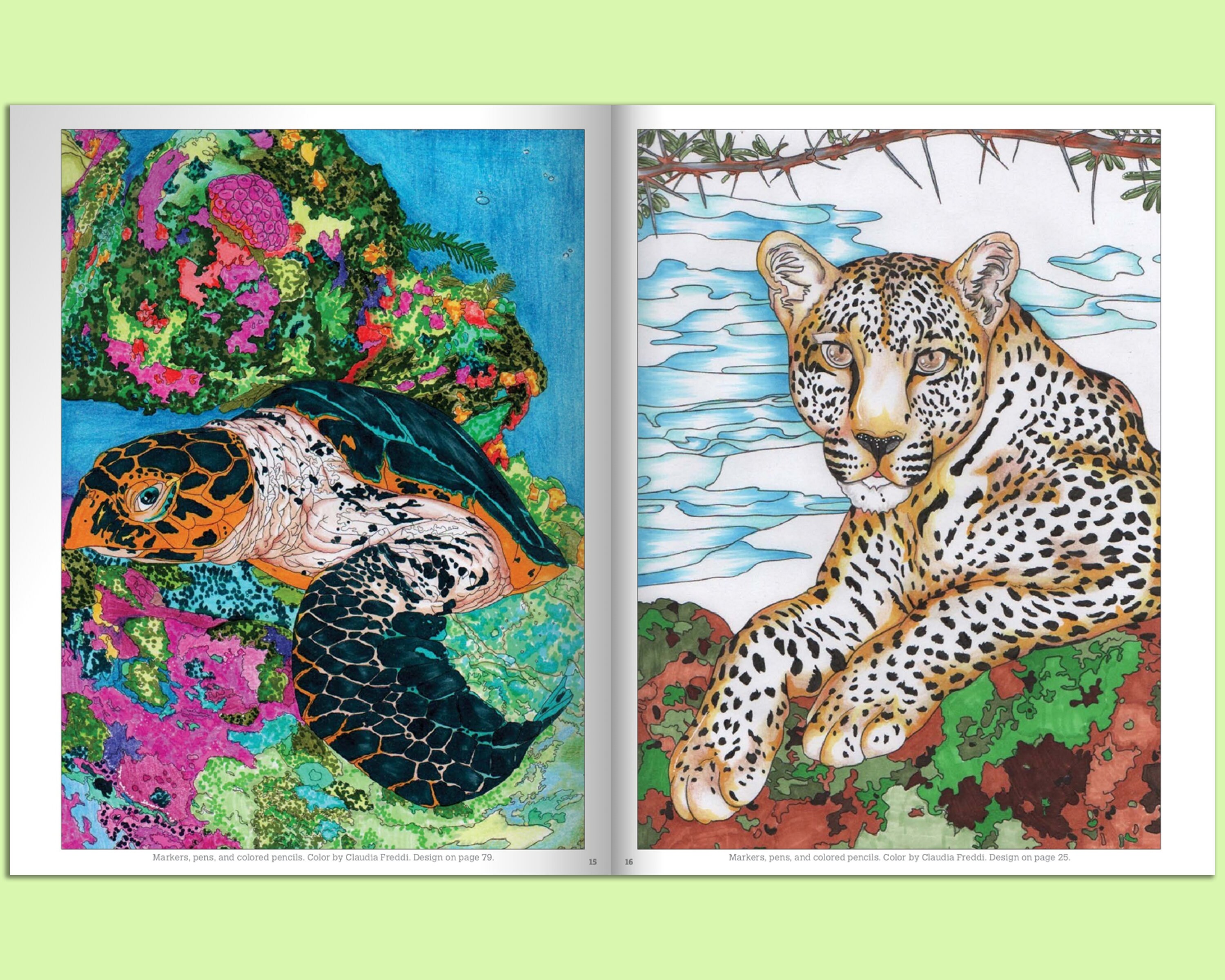 Coloring Book: Hidden Animals Coloring Book Seek and Find - Etsy