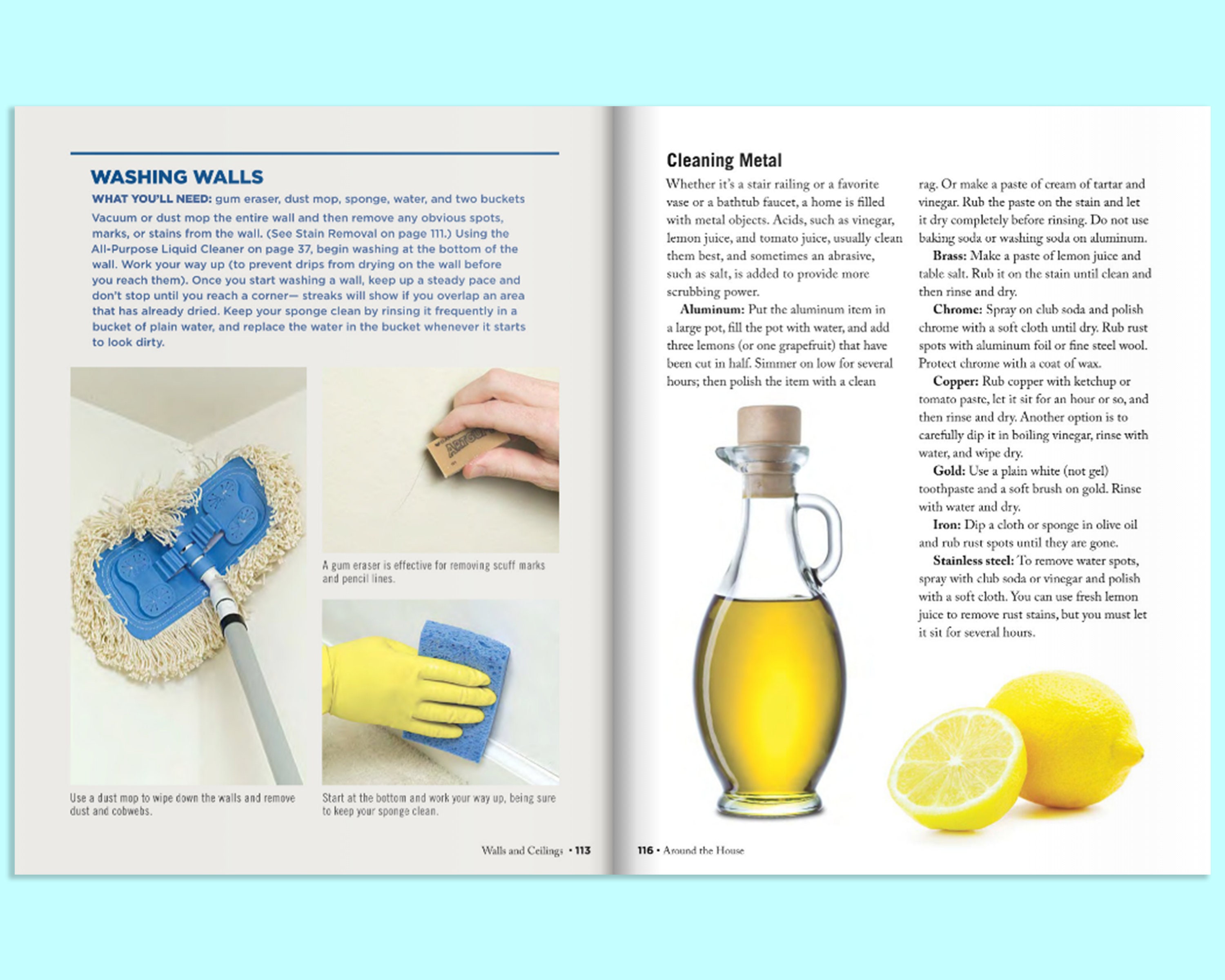 Book: Green Clean Book DIY Natural Cleaning Solutions Eco - Etsy