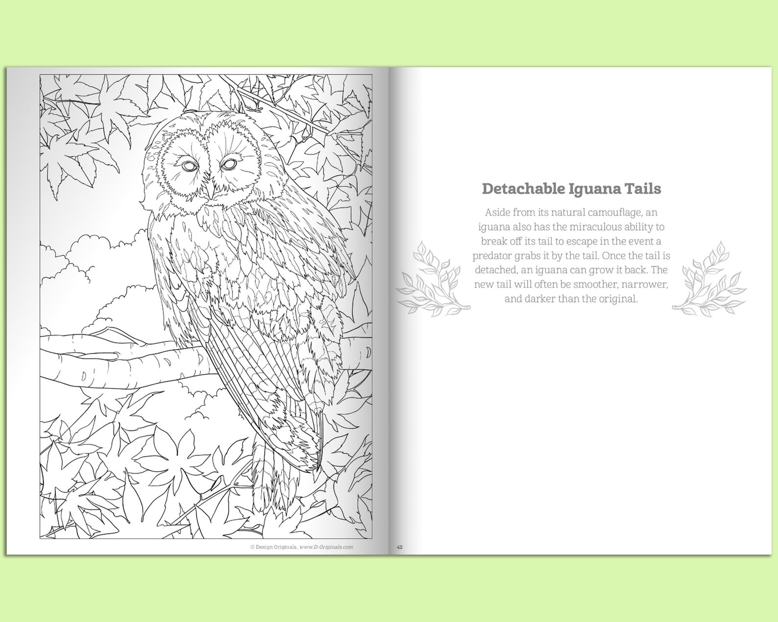 Coloring Book: Hidden Animals Coloring Book Seek and Find - Etsy