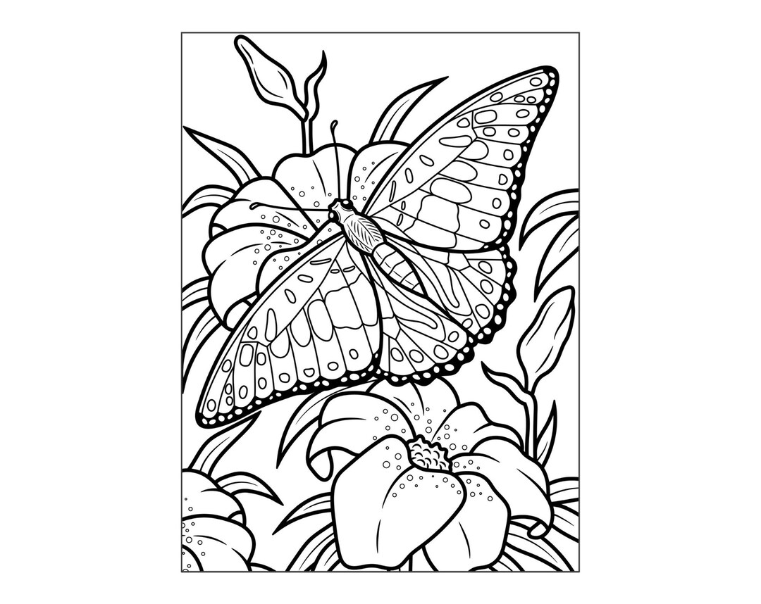 18x24 Kids Butterfly Coloring Poster: Annabella the Butterfly - Etsy