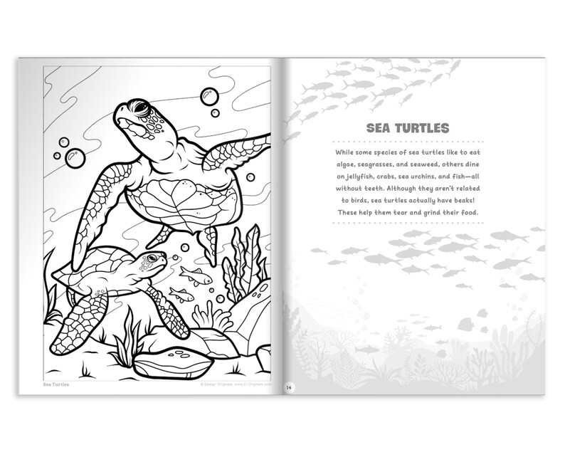 Coloring Book: Sharks & Ocean Creatures Color and Learn - Etsy
