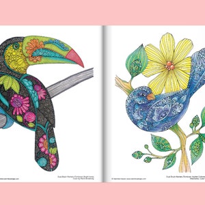 Coloring Book: Creative Coloring Birds Coloring Book - Nature Coloring ...