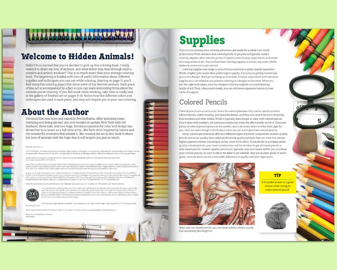 Coloring Book: Hidden Animals Coloring Book Seek and Find - Etsy
