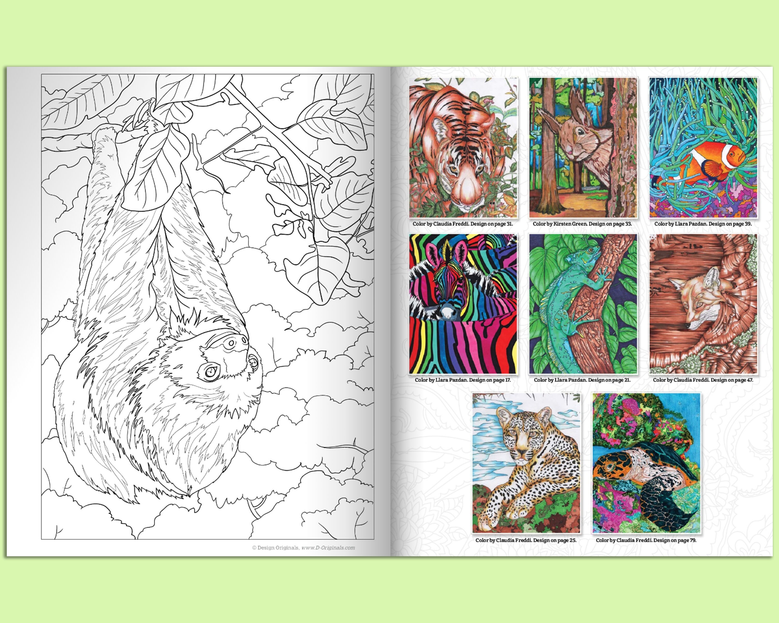 Coloring Book: Hidden Animals Coloring Book Seek and Find - Etsy