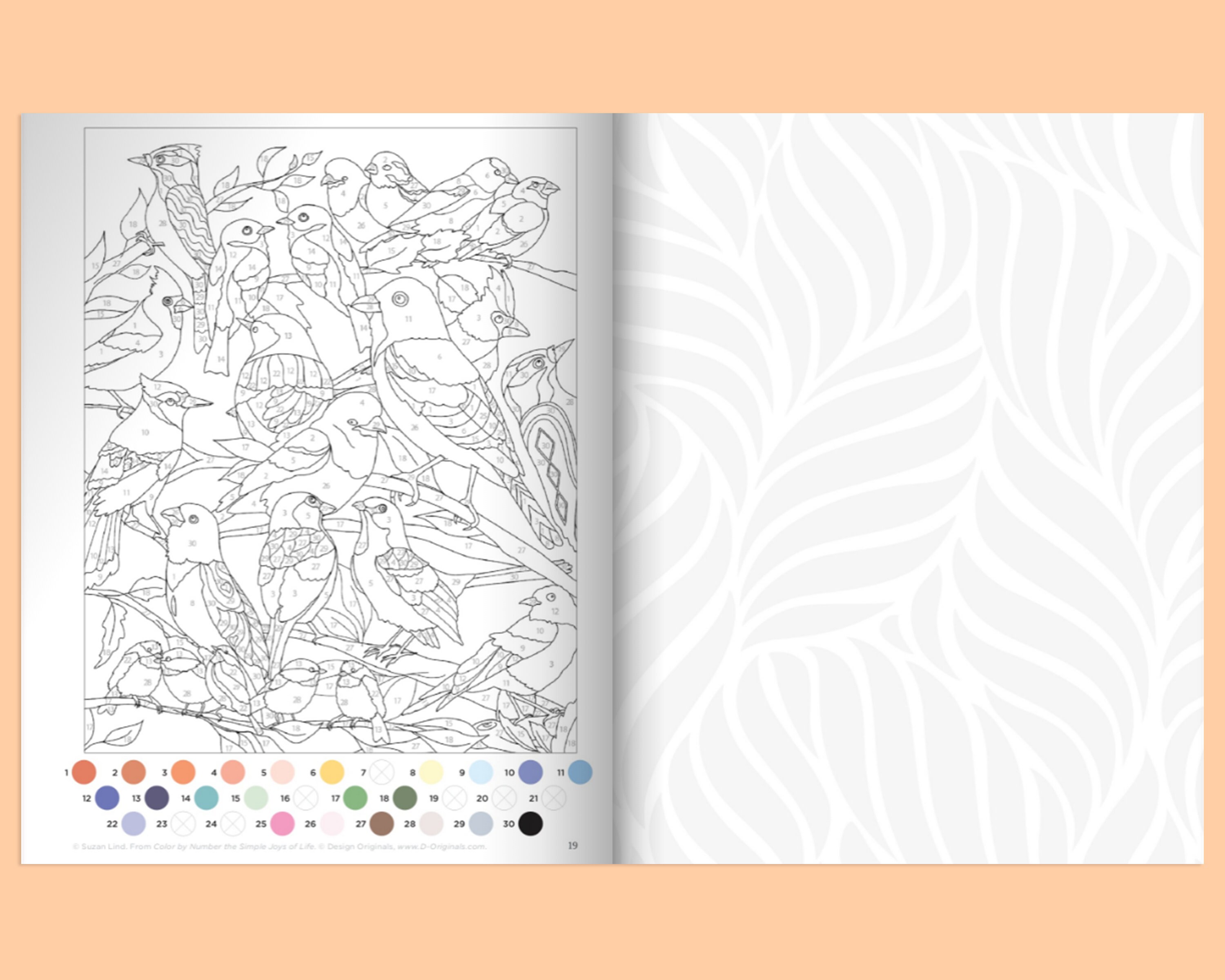 Coloring Book: Color by Number the Simple Joys of Life - Etsy UK