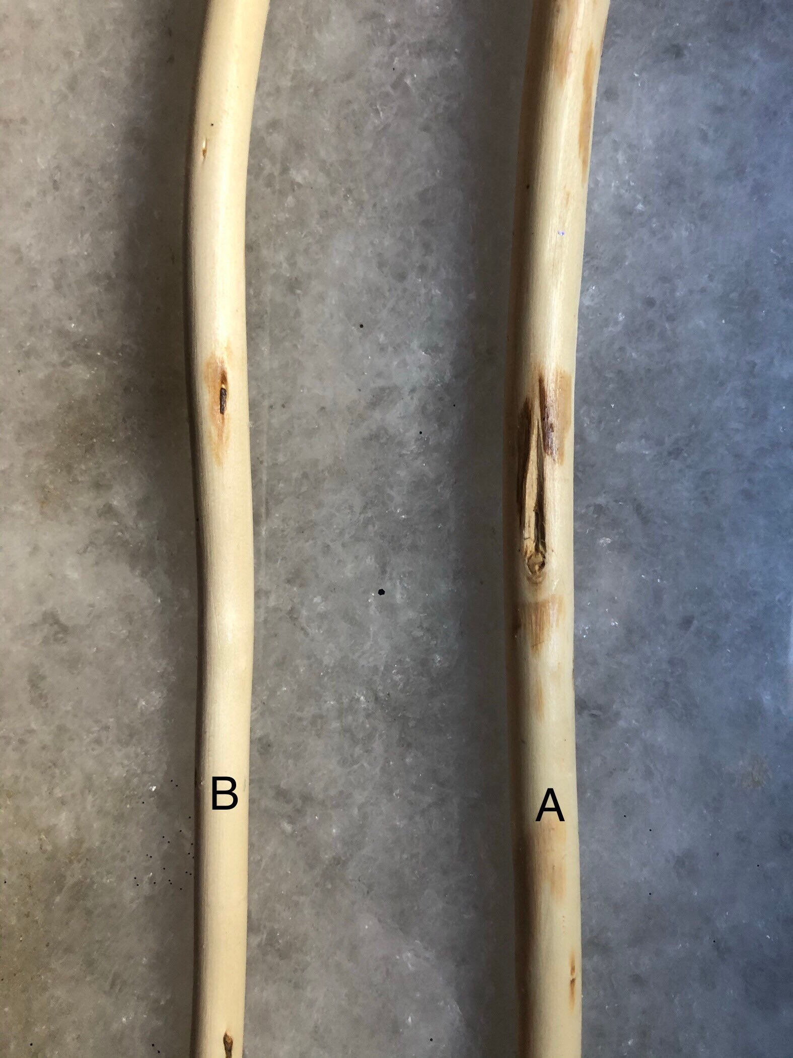 Ritual Wands Willow Tree - Etsy Hong Kong