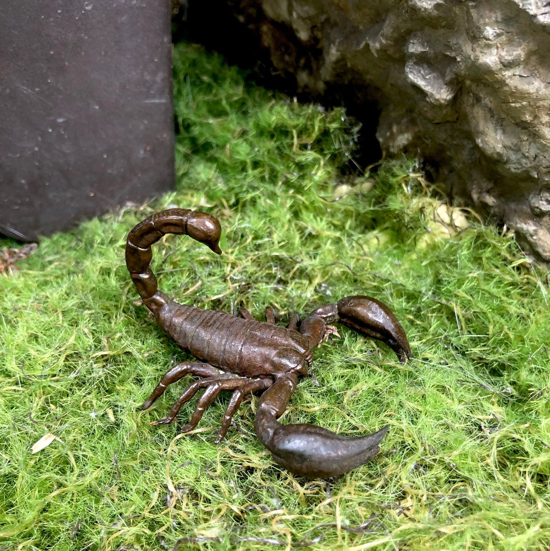 Bronze Scorpion-japanese Showa Bronze Sculpture/yard Decoration ...