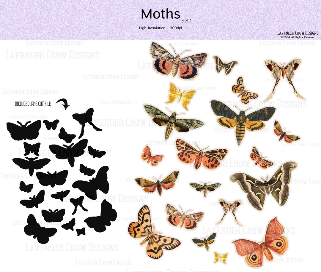Printable Moth Ephemera for Junk Journals - Etsy