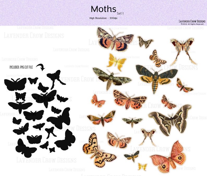 Printable Moth Ephemera for Junk Journals - Etsy