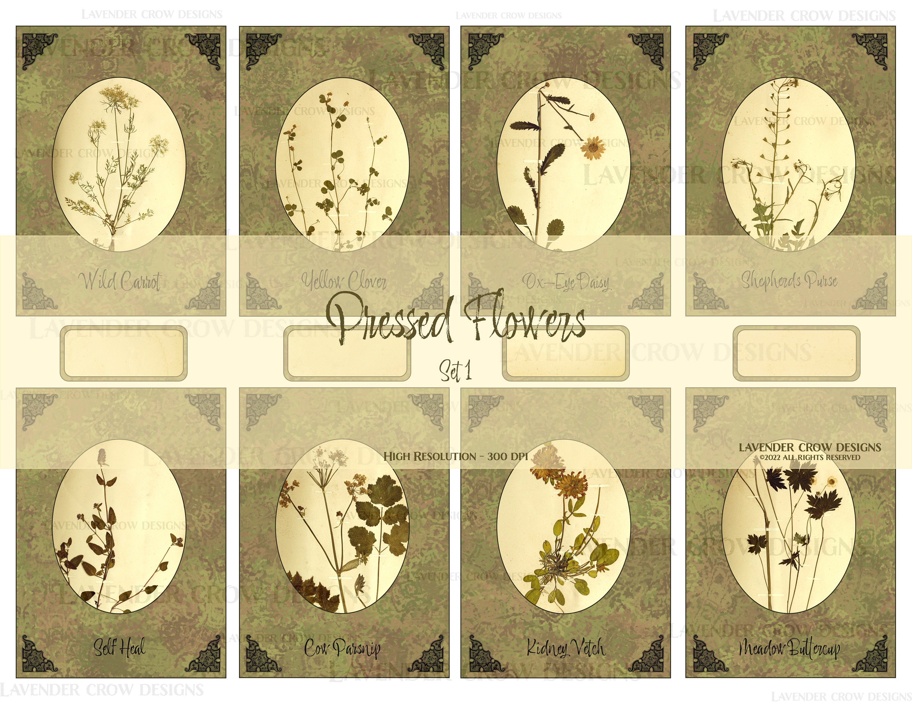 Pressed Flower Specimens Floral Ephemera Journals | Etsy