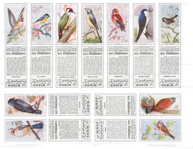 Vintage Cigarette Cards, Birds of the Countryside Tea Cards Set 2, Junk ...