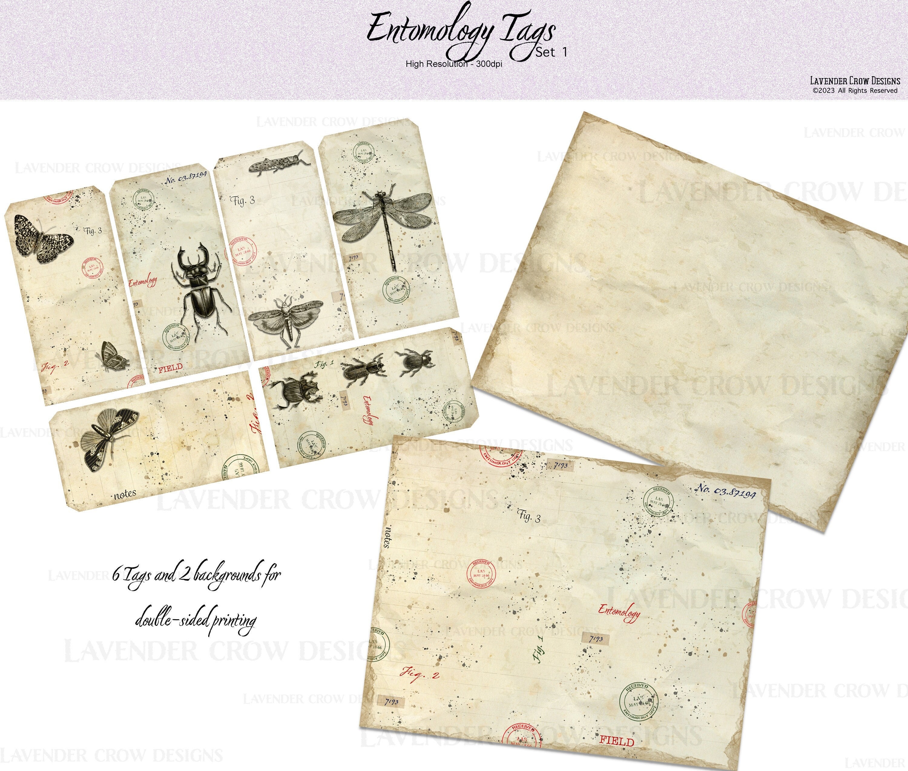 Entomology Tag Se, Vintage Tags, Set of 6 Tags, Vintage Insect ...